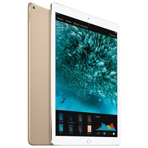 Ipad pro gold store